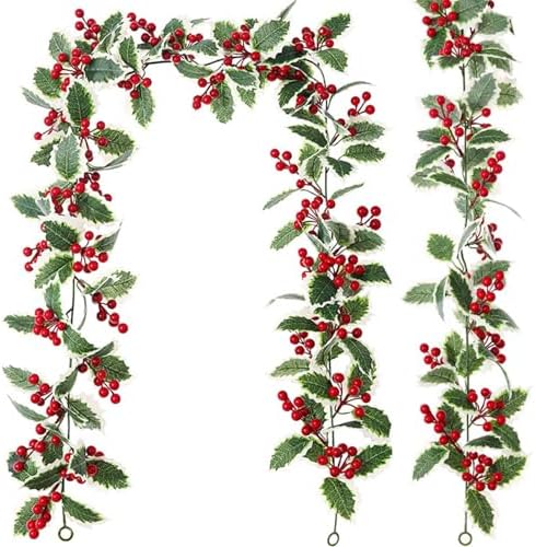 Amazon.com: 6' Long Snowy Artificial Pine and Cedar Christmas Garland ...