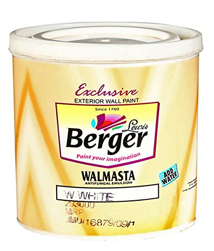 WALL MASTA ANTIFUGAL : Amazon.in: Home Improvement