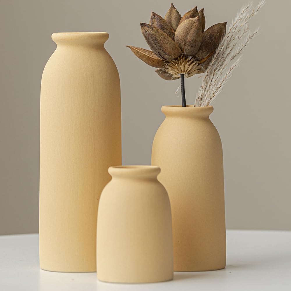 Amazon.com: Ceramic Vase Set-3, Small Flower Vases for Decor, Modern ...