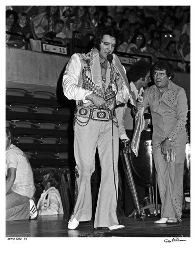 Buy Backstage Gallery Presents JC-1009-024 Elvis Presley by Juan ...