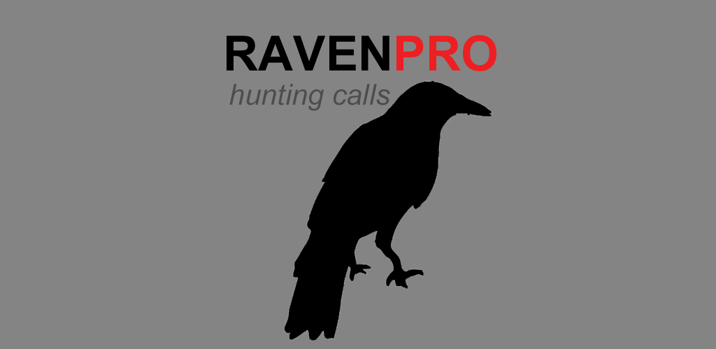REAL Raven Hunting Calls App - 7 REAL Raven CALLS & Raven Sounds ...