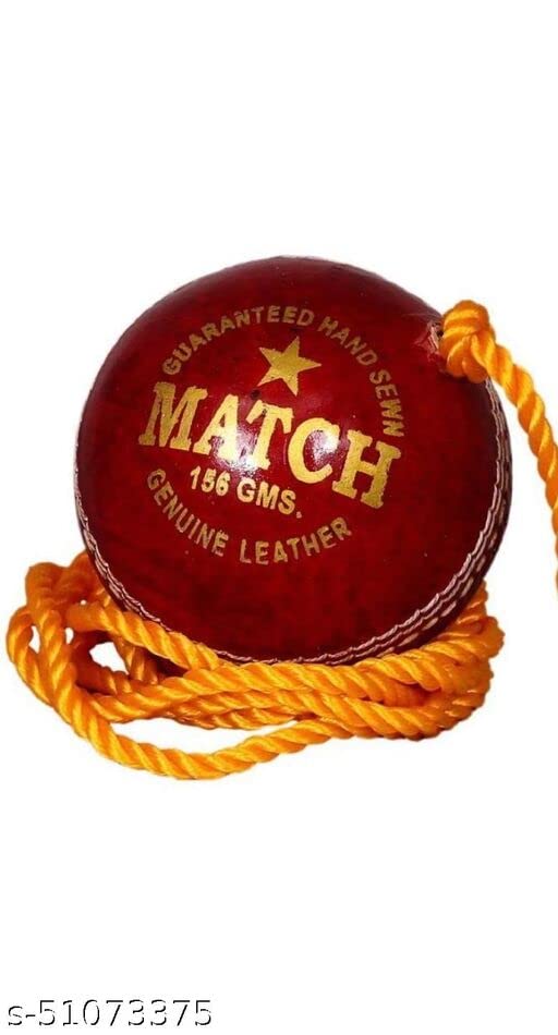 Top 10 Best Cricket Hanging Balls | Master Your Batting Technique