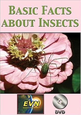 Amazon.co.jp: Basic Facts about Insects DVD : DVD