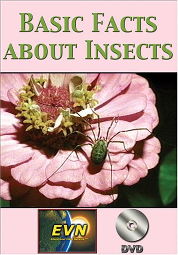 Basic Facts about Insects DVD: Amazon.de: DVD & Blu-ray