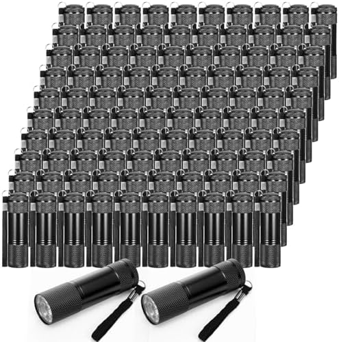 VIHOSE 100 Pcs Mini Flashlights Bulk, Bright Flashlights Set, Aluminum ...