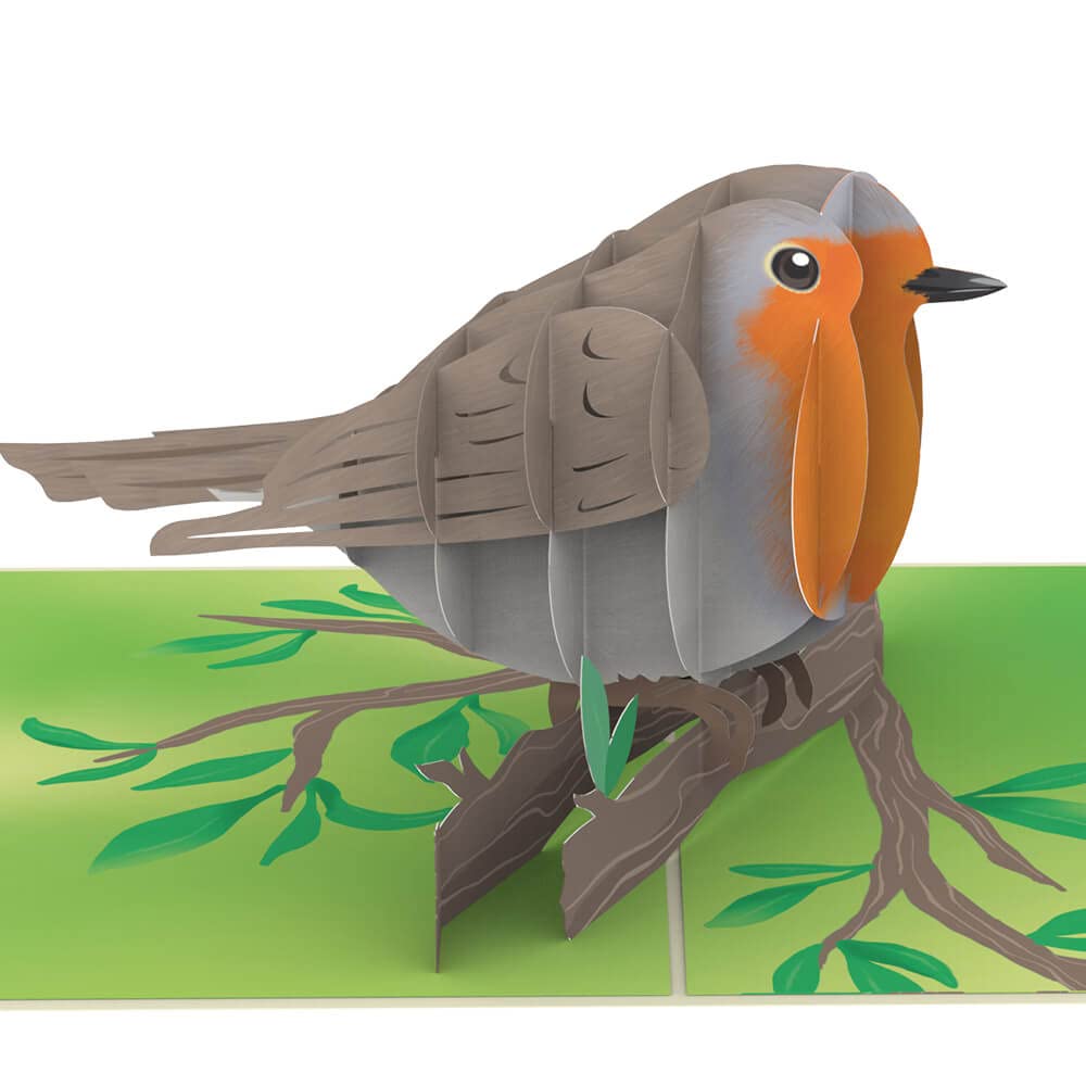 How To Make A 3d Paper Robin