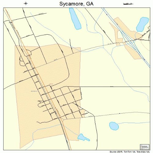 Large Street & Road Map of Sycamore, Georgia GA - Printed poster size ...