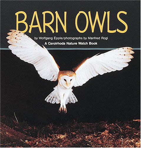 Barn Owls : Epple, Wolfgang: Amazon.in: Books