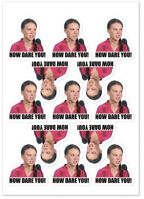 Amazon.com: HOW DARE YOU - 13 Sticker sheet - For your gas tank/gas can ...