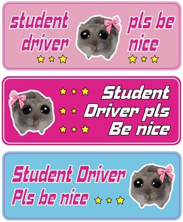 Amazon.com: 4Pcs Newbie Cat Magnetic Car Stickers New Driver Magnet for ...