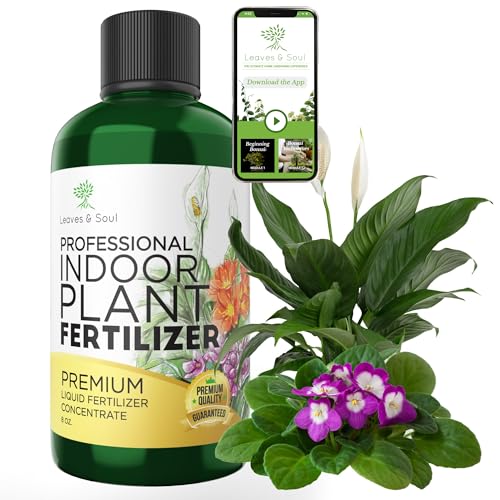 Top 10 Liquid Fertiliser For Flowers of 2022 - Katynel