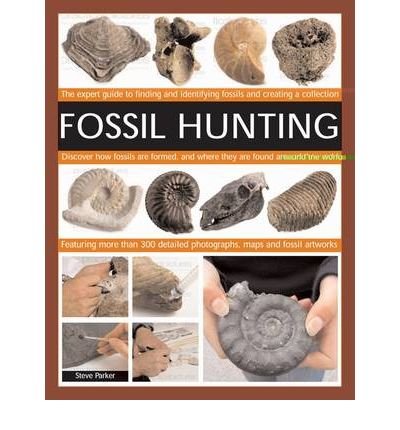 Fossil Hunting: An Expert Guide to Finding, Classifying, Dating and ...