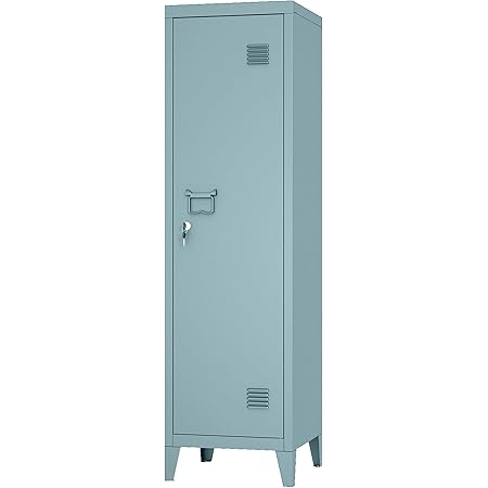 Amazon.com: MIOCASA Metal Cabinet Home Office Storage Cabinets with ...