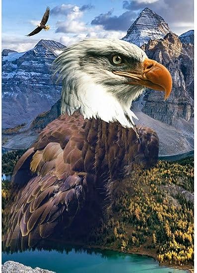 Amazon.com: Hoffman Call of The Wild Digital W5509 159 American Eagle ...