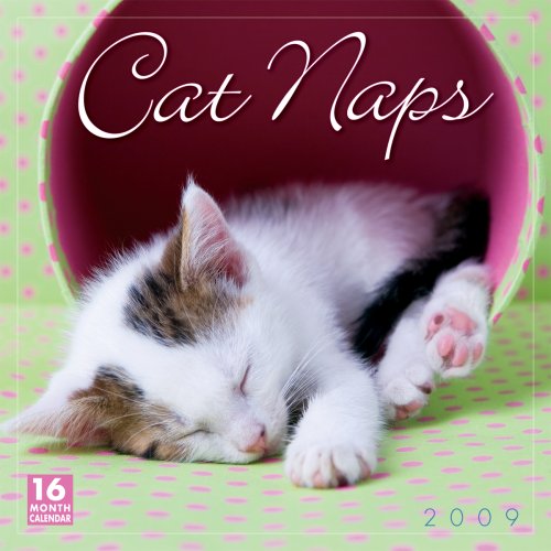 Cat Naps 2009 Wall Calendar (Calendar): Sellers Publishing Inc ...