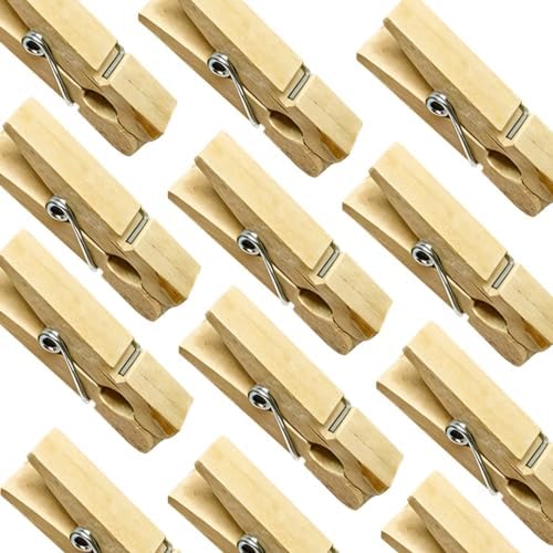Elliott Hardwood Clothes Pegs with Metal Coil Spring for Firm Grip ...