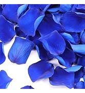 Amazon.com: Dried Real Rose Petals, Natural Preserved Dry Flower Petals ...