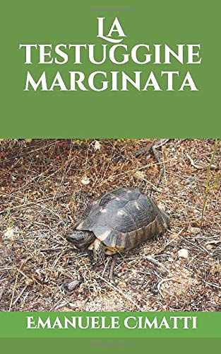 Testudo marginata 【 ANIMALI Luglio 】 | Clasf