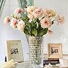 Inklusive Dünger – 515 Bunte Eustoma Samen Winterhart, Eustoma ...