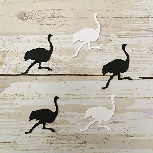 Amazon.com: Ostrich Confetti, Bird Decorations, Bird Party Supplies ...