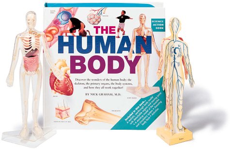 Human Body (Action Book/Book and Model): Graham N: 9781561386604 ...