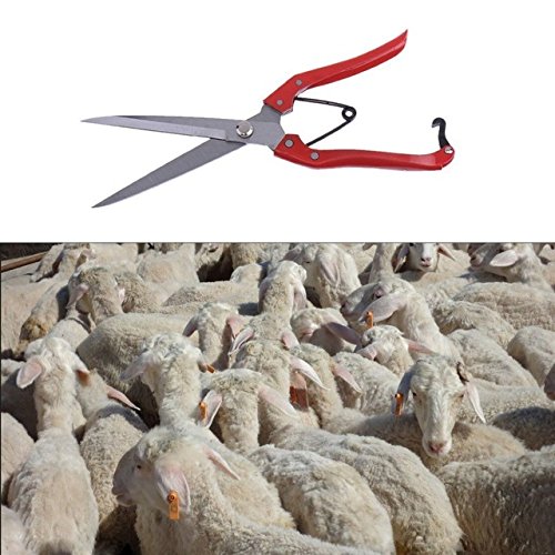 SWD prime Sheep Goat Lamb Llama Wool Scissor Trimmer Manual Horsehair ...