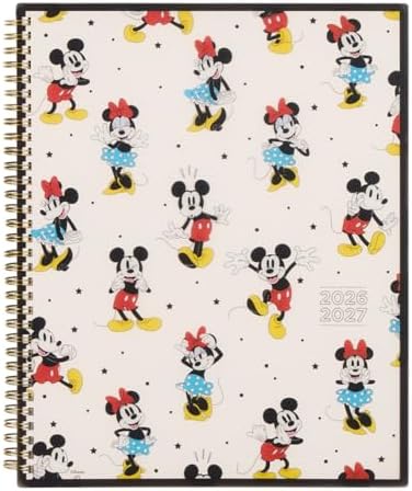 Amazon.com : Organized by Happy Planner Disney Dated 12-Month Planner ...