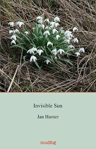Buy Invisible Sun Book Online at Low Prices in India | Invisible Sun ...