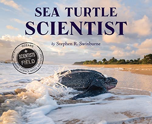 The Best Sea Turtle Books for Toddlers and Preschoolers