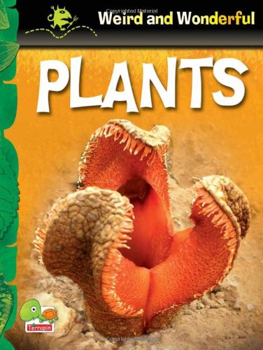 Plants: Key stage 1: Tanya Luther Agarwal: 9788179932513: Books - Amazon.ca