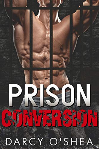 Prison Conversion: Prison M/M first time love and romance with HEA ...