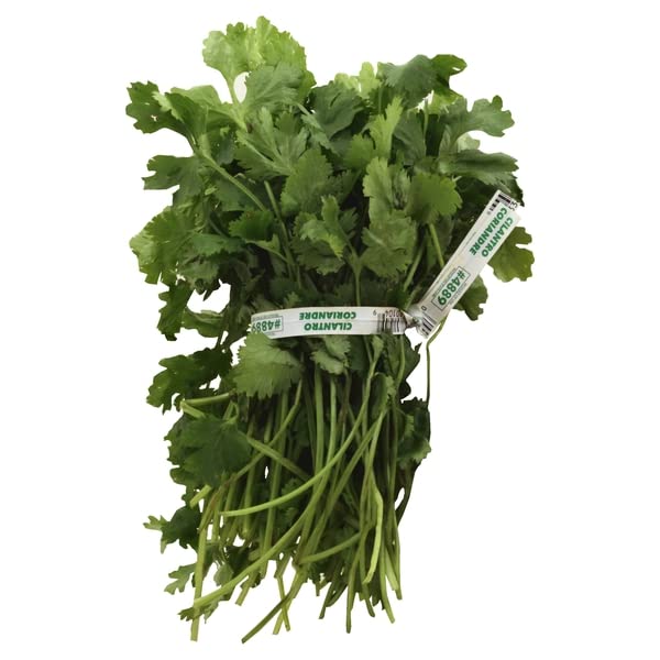 Amazon.com: Cilantro Fresh : Grocery & Gourmet Food