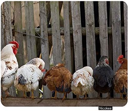 Amazon.com: Nicokee Gaming Mouse Pad Chicken Family Sitting in a Line ...
