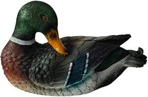 Amazon.com: Duck Decoy Realistic Plastic Floating Duck for Hunting ...