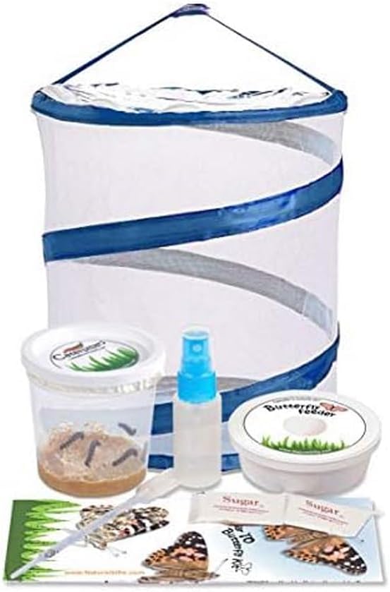 Amazon.com: Nature Gift Store Live Butterfly Kit: Shipped with 5 ...