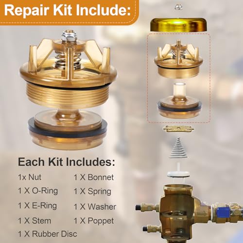 Snapklik.com : Bonnet Poppet Repair Kit 905-212 For FEBCO 765-1 ...