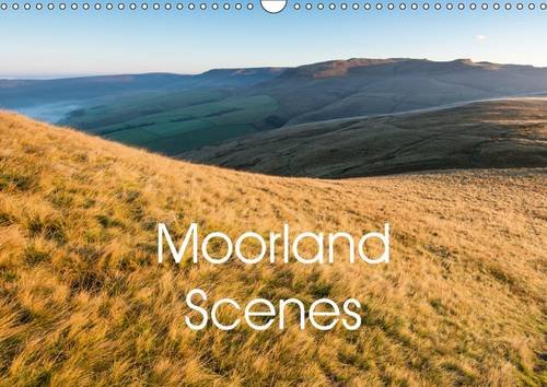 Buy Moorland Scenes 2017: Moorland Landscape Scenes in All Seasons ...