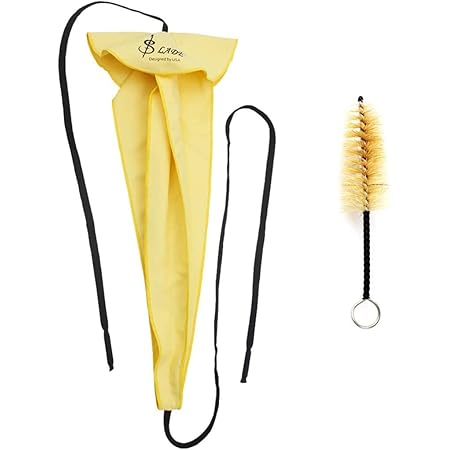 Amazon.com: Imelod Saxophone Cleaning kit with Case for Alto Tenor ...