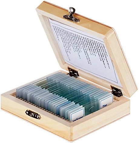 AmScope PS25W Prepared Microscope Slide Set for Basic Biological ...