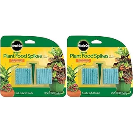 Amazon.com : Miracle-Gro Indoor Plant Food Spikes, Includes 48 Spikes ...
