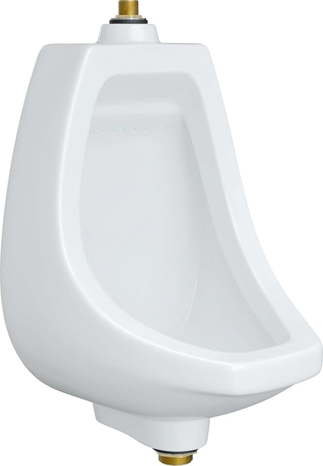 Amazon.com: Urinals - Urinals / Urinals & Urinal Parts: Tools & Home ...