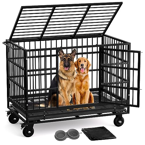 Size Matters: Find Your Perfect Pitbull Crate with Our Top 10 List and ...