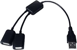 Amazon.com: ZHENZQ USB Splitter USB Male to 2 Female USB Extension ...
