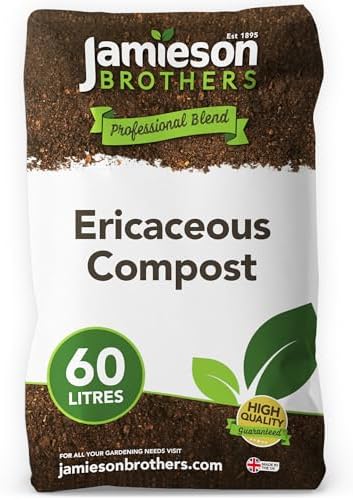 Ericaceous Compost 60L bag Premium Mix for acid loving plants such as ...