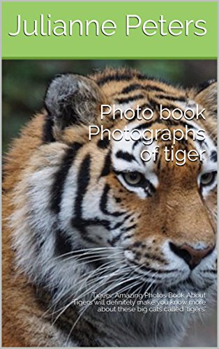Photo book Photographs of tiger: Tigers: Amazing Photos Book About ...