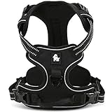 Best Dog Harness for Cocker Spaniels Our Top 6 for 2024