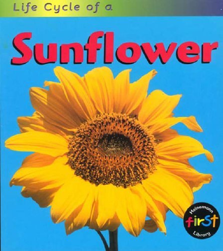 Sunflower (Life Cycles): Amazon.co.uk: Royston, Angela: 9780431083773 ...