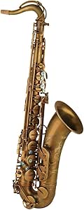 Amazon.com: TSTS B-flat Tenor Saxophone Vintage Bare Copper Suitable ...