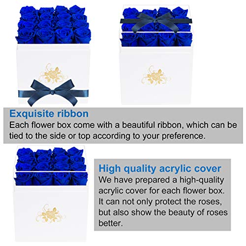 Perfectione Roses Roses préservées de luxe dans une boîte, véritables ...
