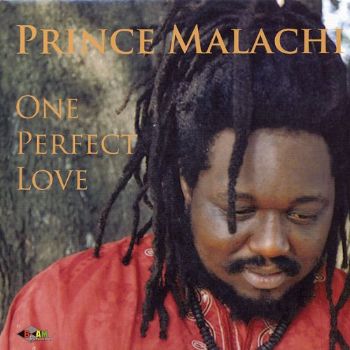 One Perfect Love [Vinyl] - Amazon.com Music